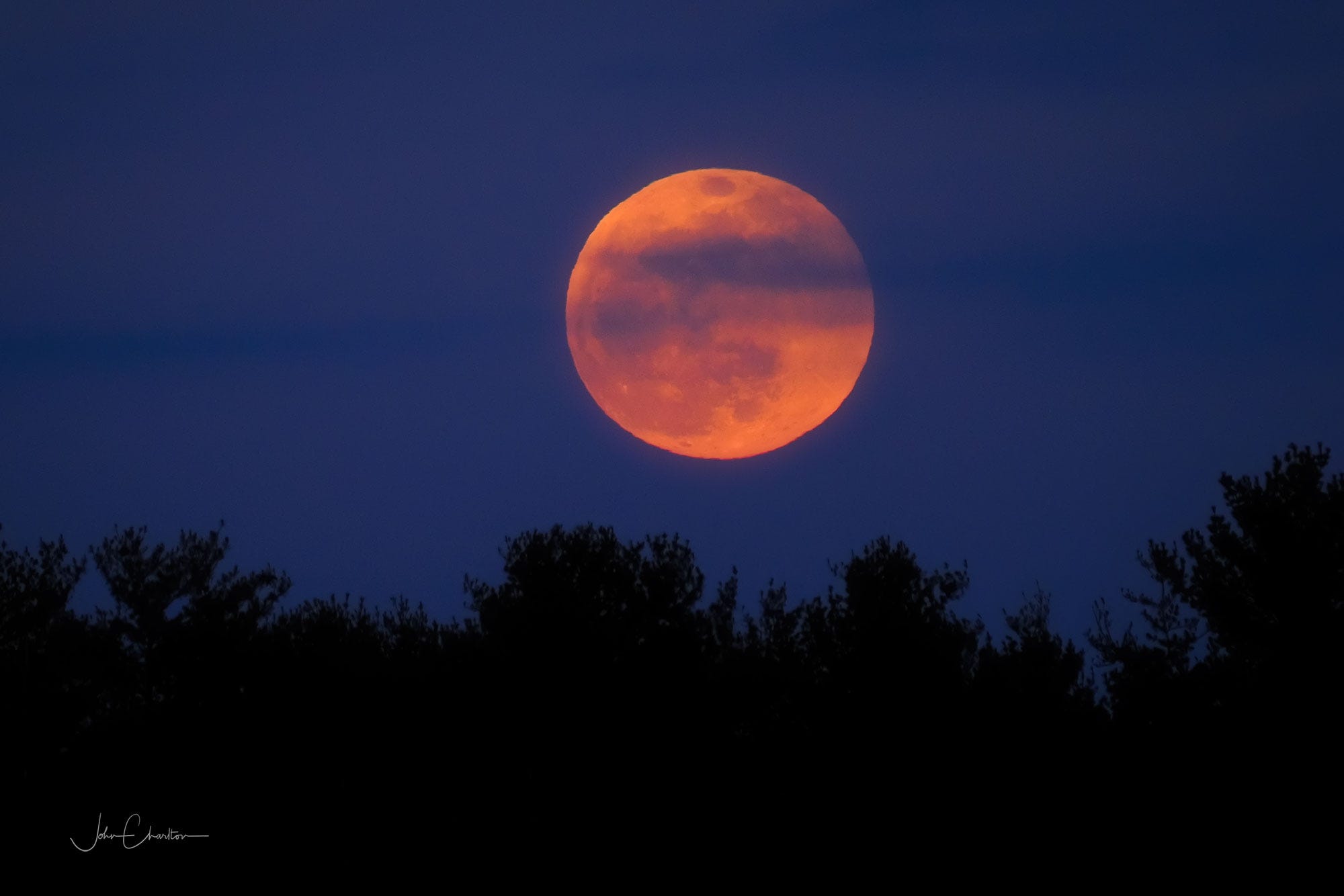 The Sap Moon - by John Charlton - My Photo Journal