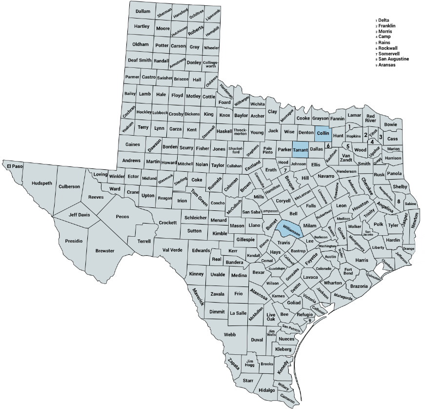 Which Texas Counties Should We Expect To Be Blue In November?
