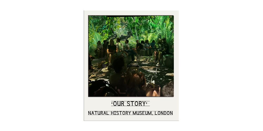 How To Help Save Our Stunning Swifts - by Vicky Wren