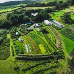 Huw Richards | Substack