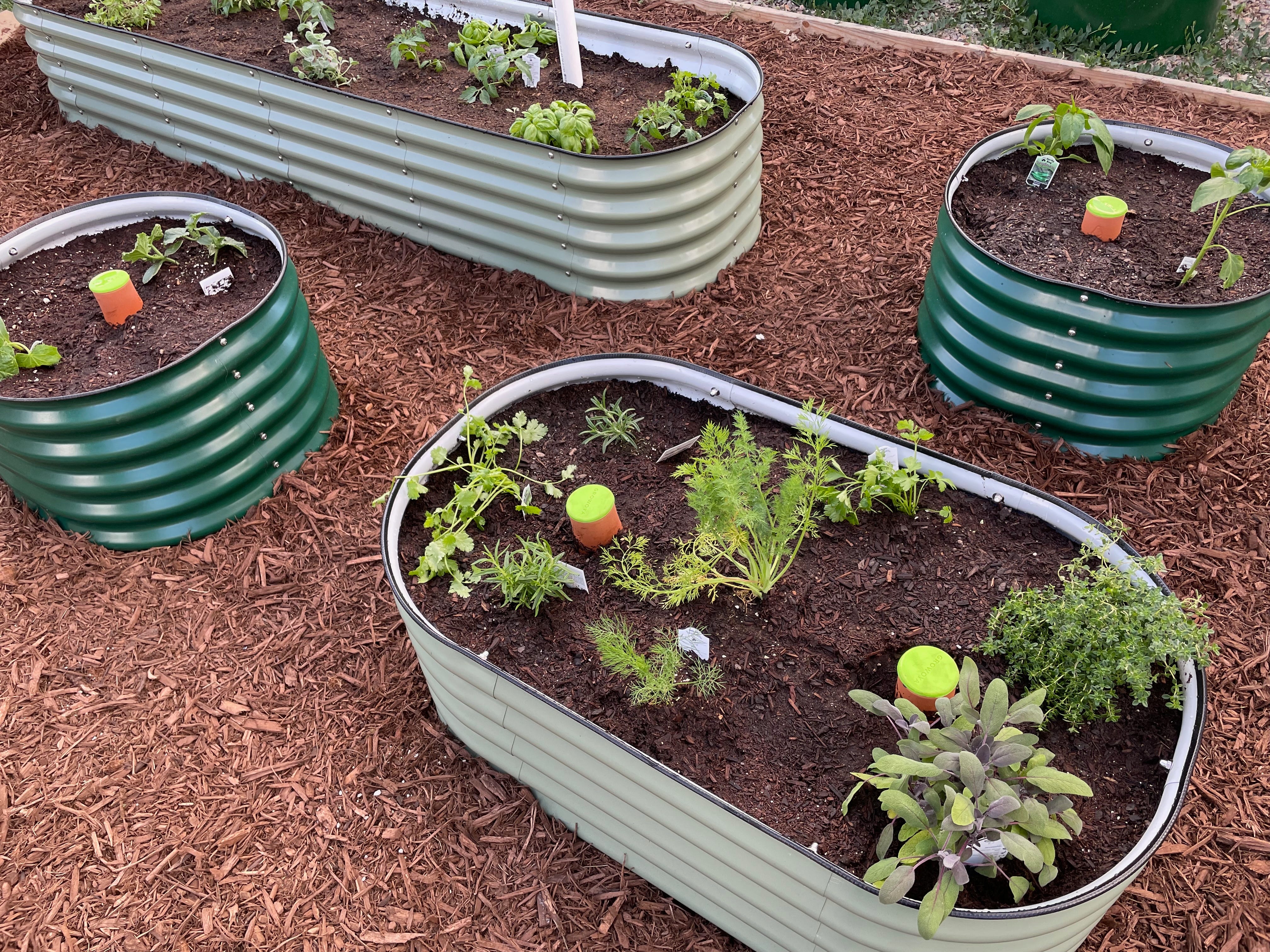 DIY Ollas and Smart Watering Tips for a Thriving, Eco-Friendly Garden