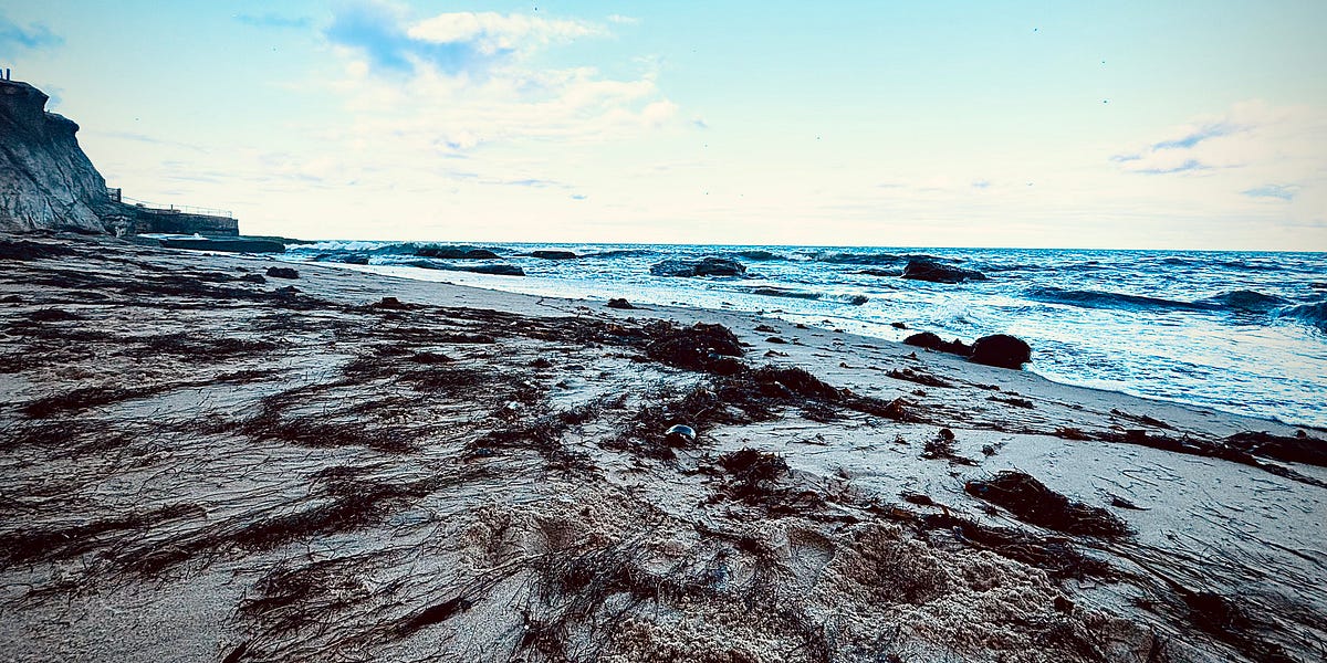 Into the Mystic, Revisited - by Marya Hornbacher