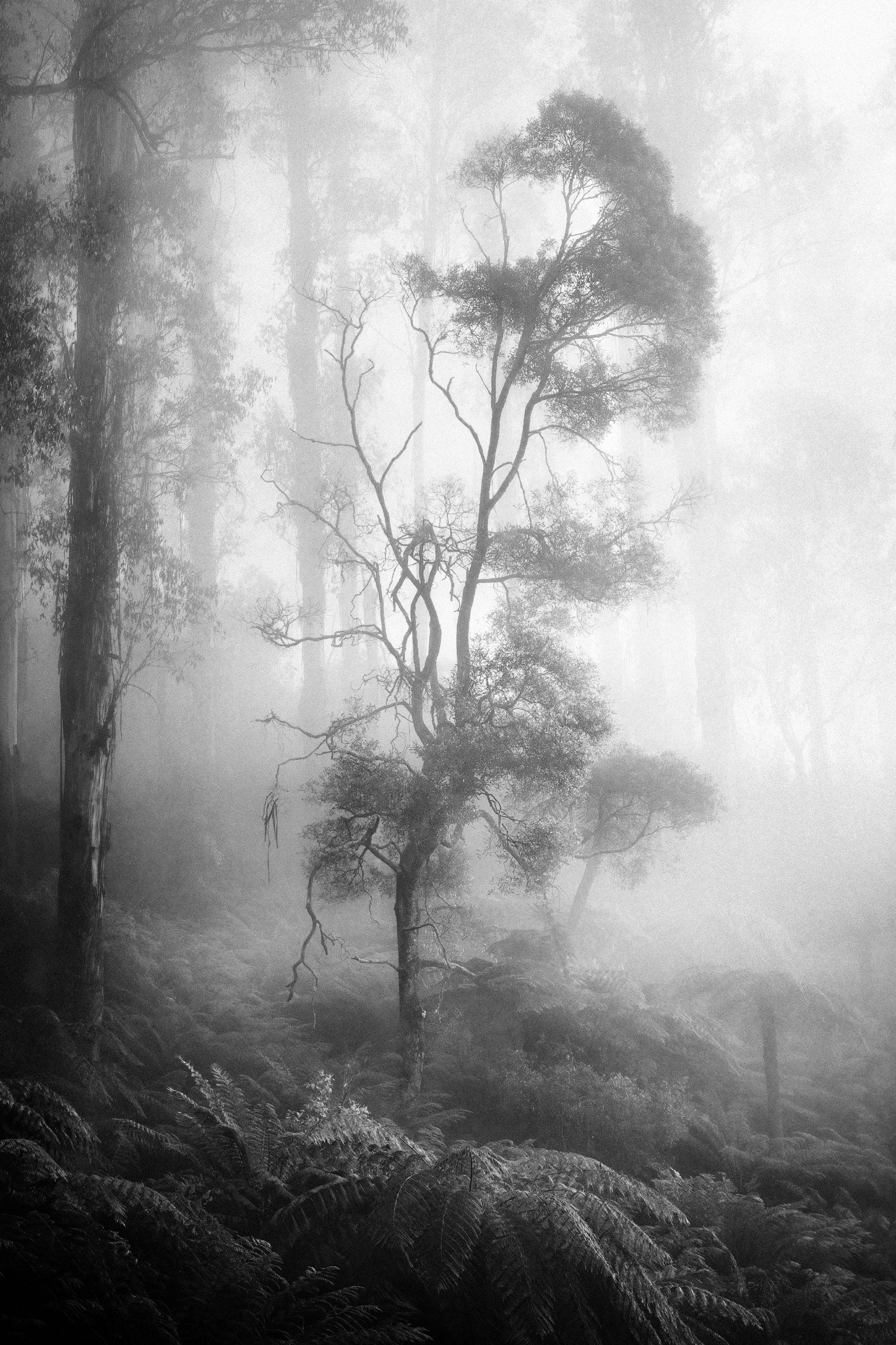James Hider (@jameshider): "A new edit of perhaps the most spectacular ...