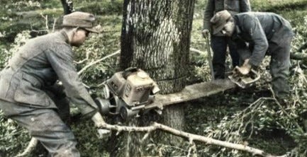 Remarkable Holocaust Nonsense #87: Tree-Felling as a Method of ...