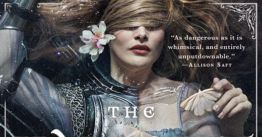 The Knight and the Moth - by Rachel Gillig