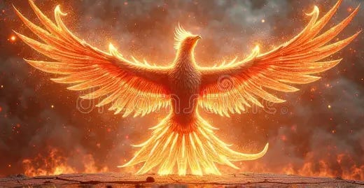 Mark Stein | Substack