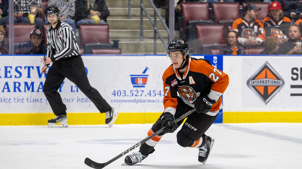 2025 NHL Draft Re-entries: 20 Over-agers To Know | HFBoards - NHL ...