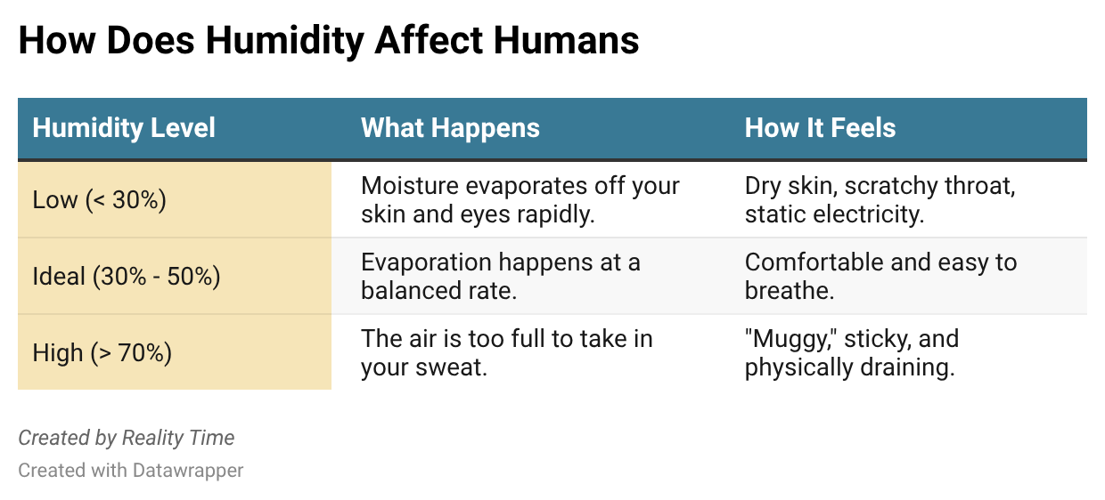 Providing the Right Humidity for Plants