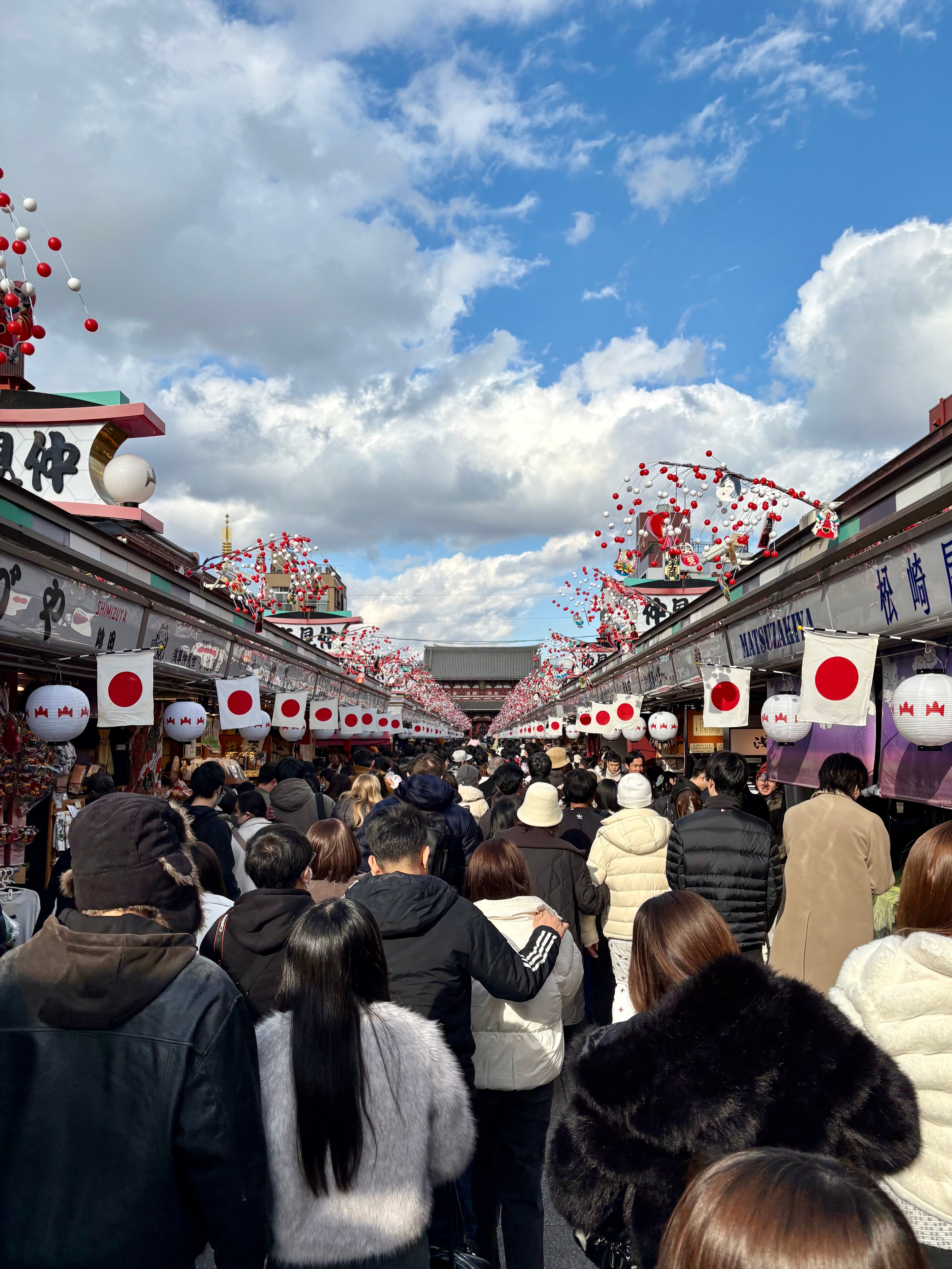 Absolutely Everything We Did in Japan - by Emily