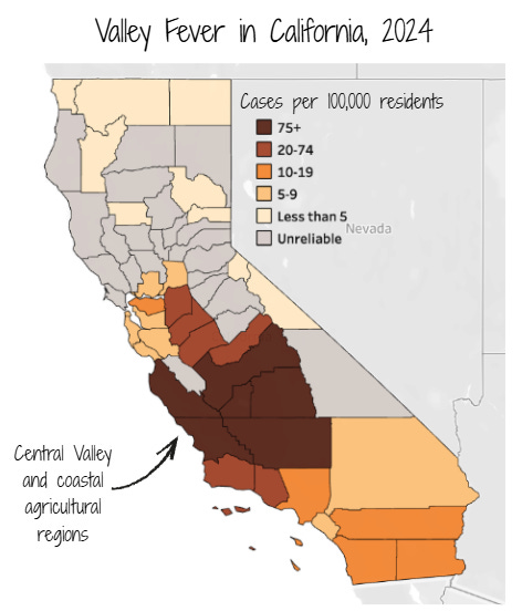 Valley Fever is on the rise. Here's what you should know.