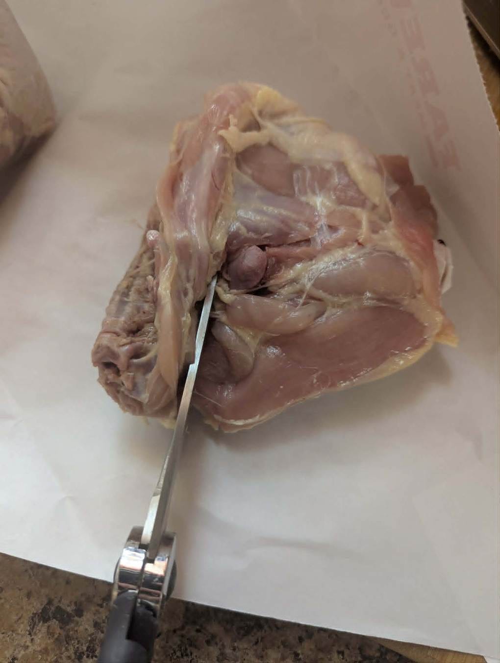 (Mis)Adventures in Lora D's Kitchen - by Lora D.