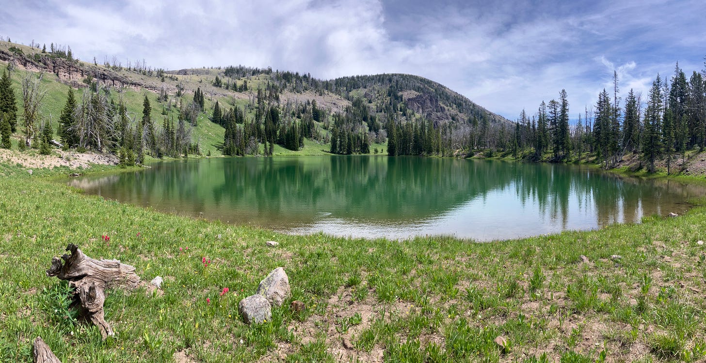 You Can't Do Everything - by Allison Powell