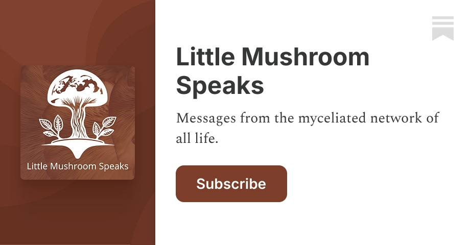Little Mushroom Speaks | Hakim Noah | Substack