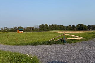 House of Green | Alexandra Fasulo | Substack