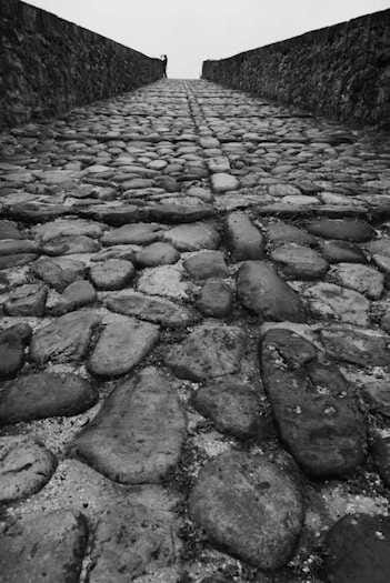 Brother David: An Ethical Tale, Part 2 - by Genspect