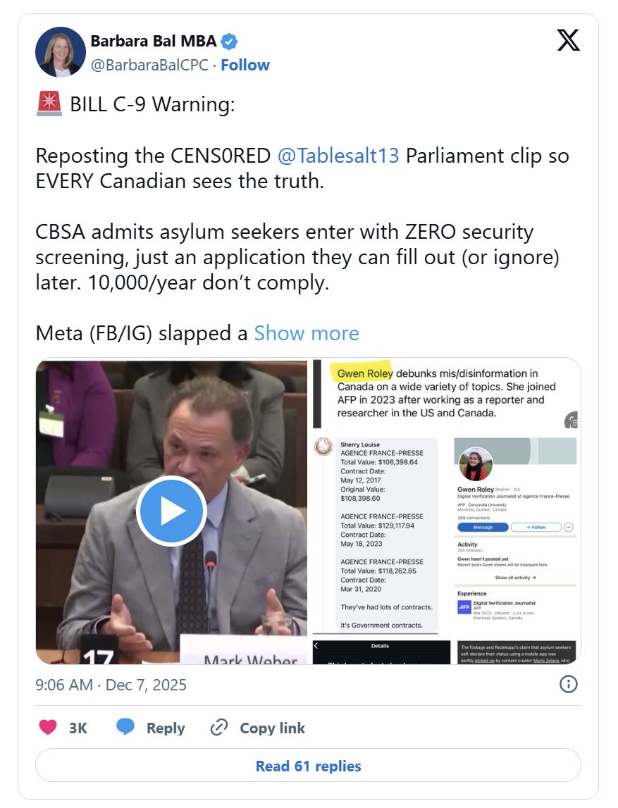 Liberals face backlash over X post that promotes free speech