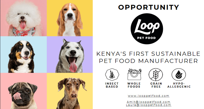 Loop Pet Food Snapshot - by Jesty - The Builders' Memo