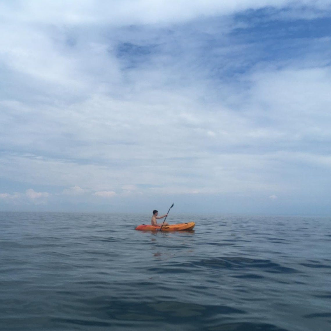 Matt Newell | Substack