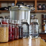 Practical Self Reliance | Ashley Adamant | Substack