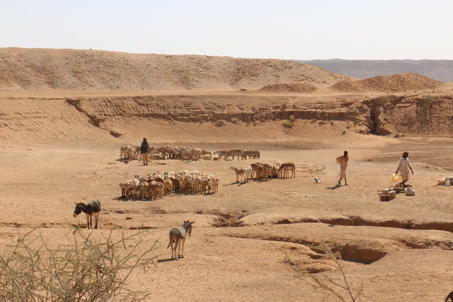 Why was Ancient Nubia less controlling than Ancient Egypt?