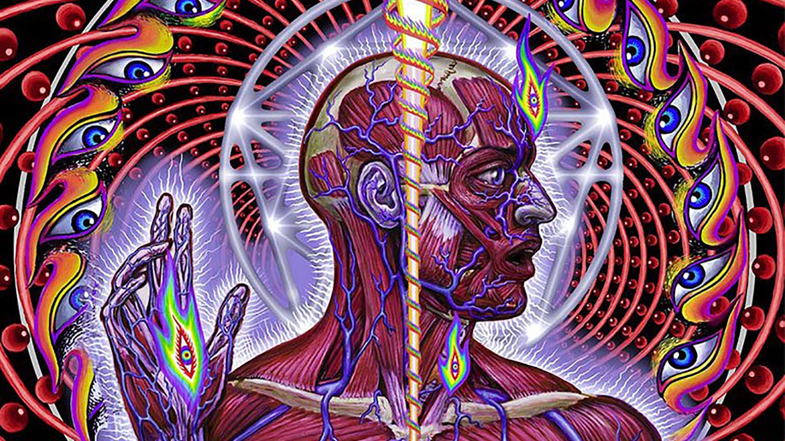 Tool’s ‘Lateralus’ Is Built on the Fibonacci Sequence. Here’s How