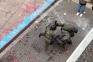 Warwick Powell's Substack | Dr Warwick Powell | Substack