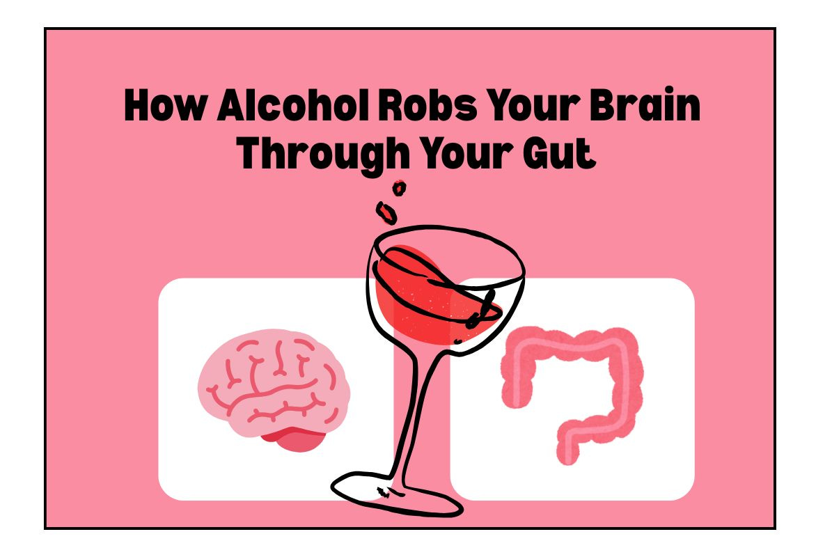 How Alcohol Robs Your Brain Through Your Gut - by Lori