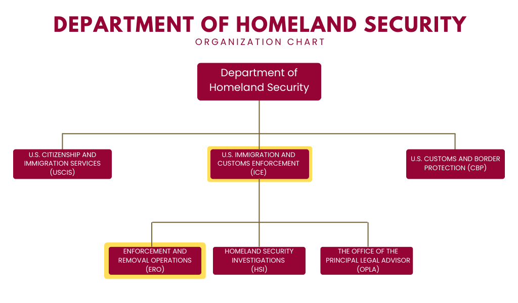 U.S. Immigration and Customs Enforcement (ICE) Explained