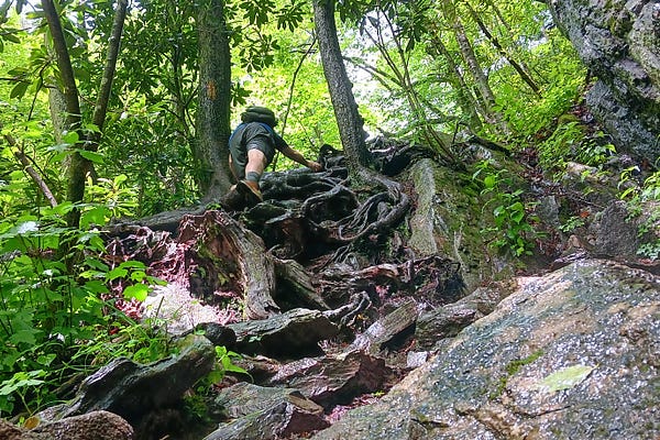 Seth Davey | The Pilgrim's Plunge | Substack