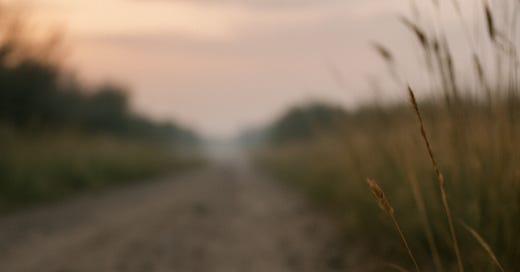 Greg Scaduto | Substack