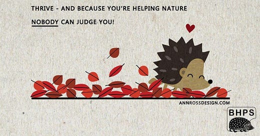 Hugh’s Substack | Hugh Warwick | Substack