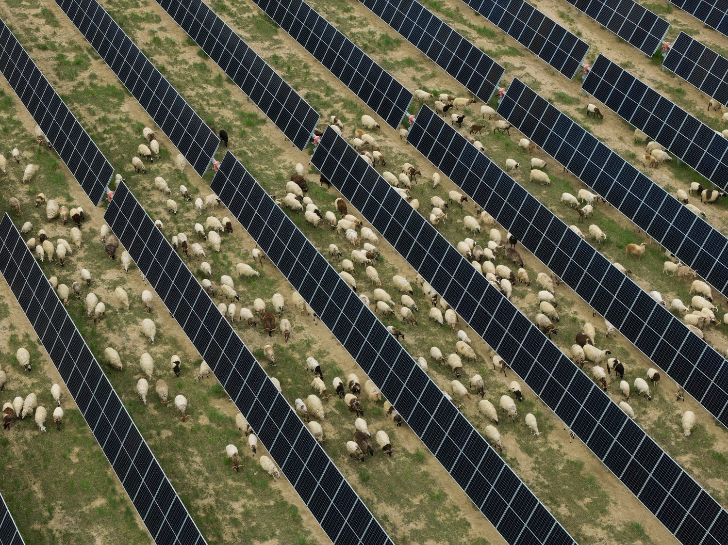 Zàijiàn, Zhōngguó: Leaving China - by Sam Matey-Coste