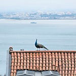 Work3 - The Future of Work | Matteo Cellini | Substack