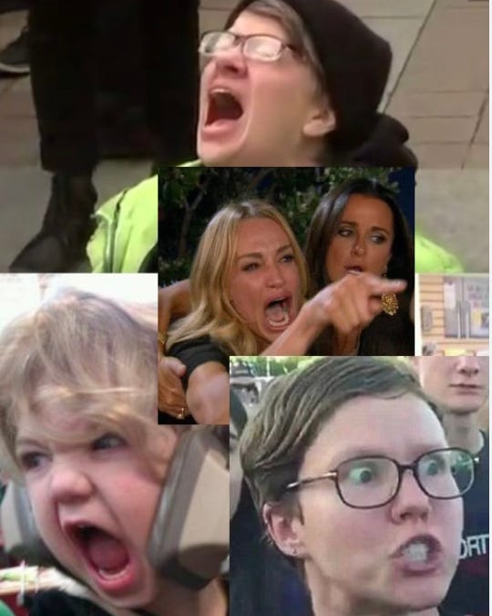 Run Fast! Run Far! - by Susan Vass - Political Questions