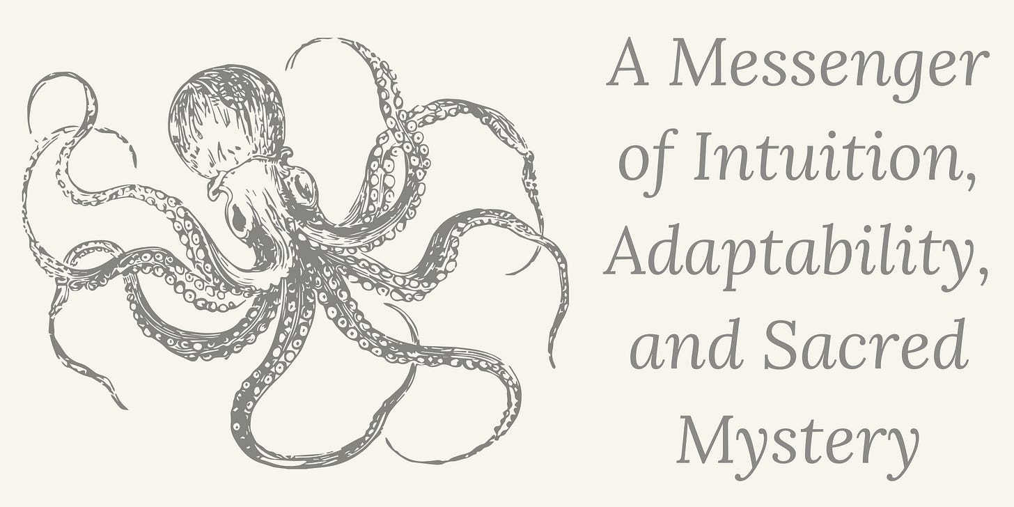 Octopus Spirit Animal: What It Means If You See Octopuses