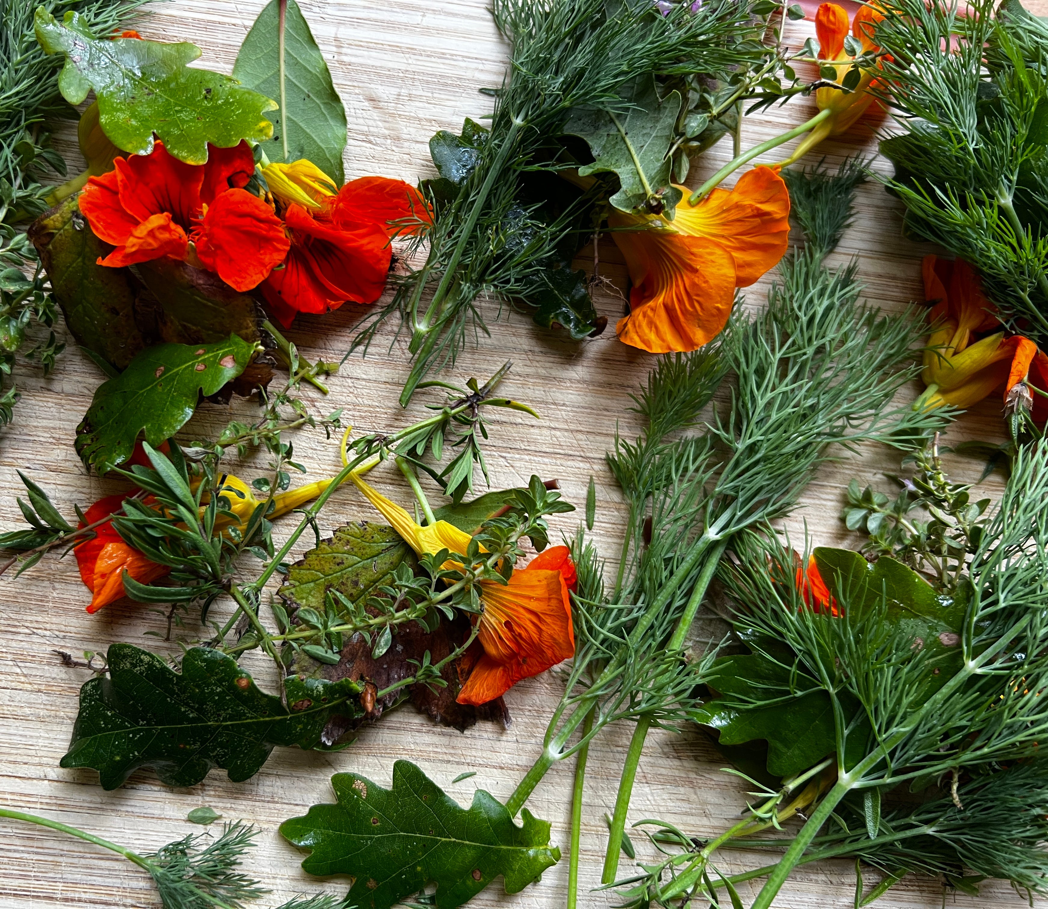 Pickled green tomatoes with oak and blackcurrant leaves