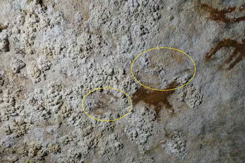 Rock art may be far older than modern humans in Sulawesi