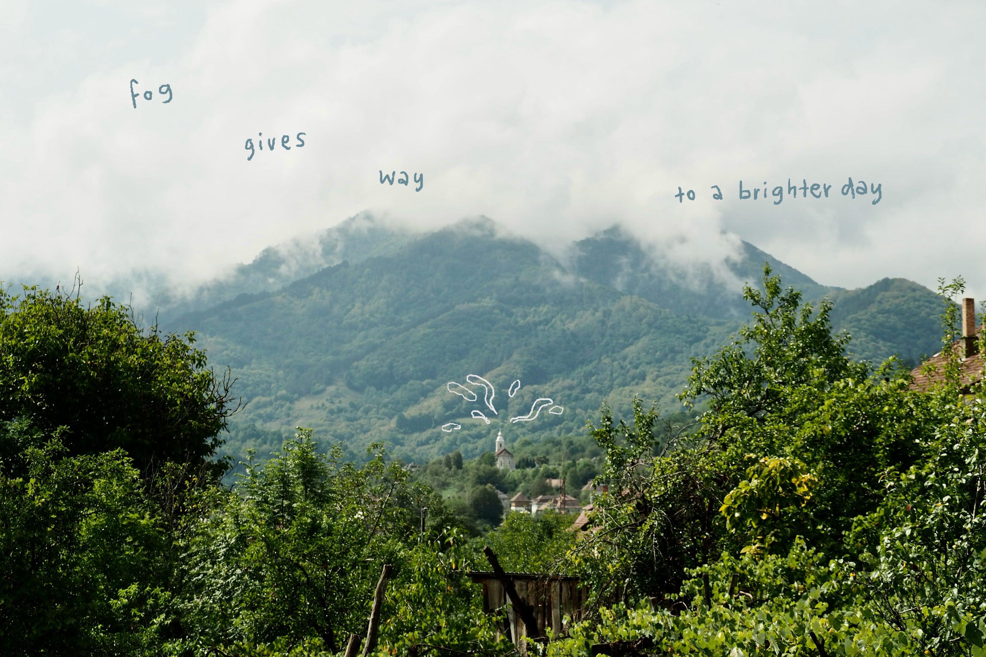 altered states of transilvania - by Malina
