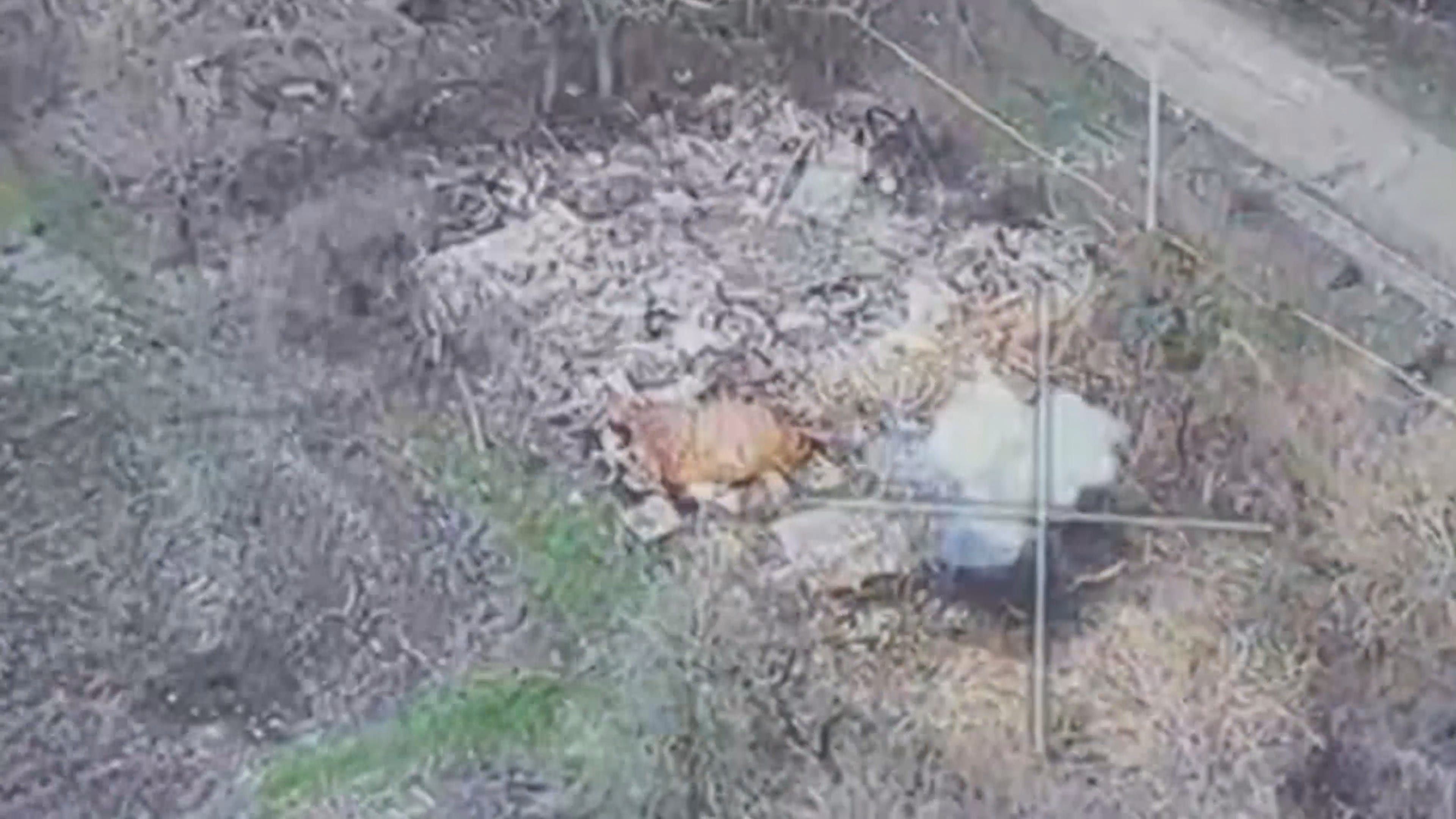 Ukraine Invades Belgorod Russia: Frontline Combat & The Real Situation