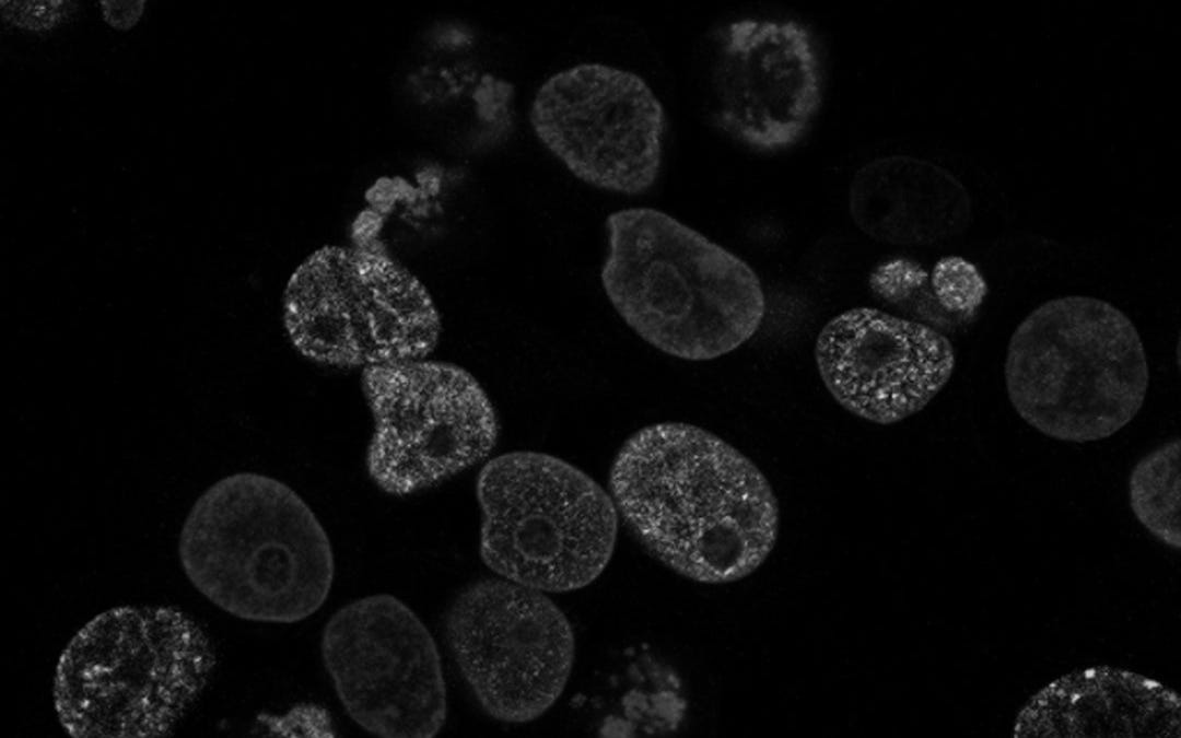 When Cells and Systems Respond: Real Studies & Their Significance