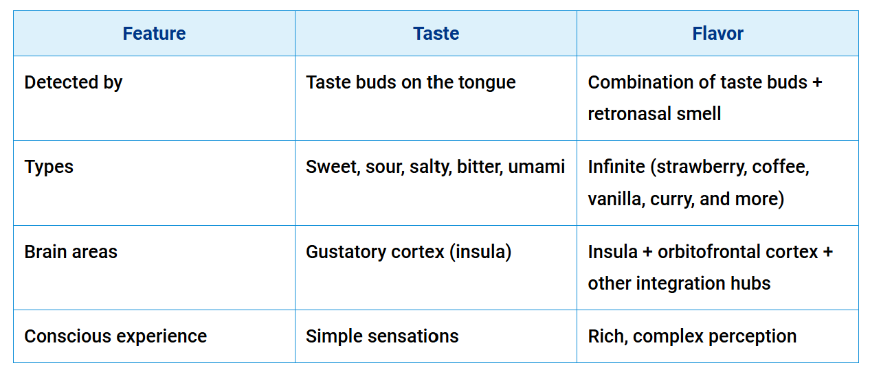 How Does the Brain Interpret Aromas as Taste? A Recent Study Provides a ...