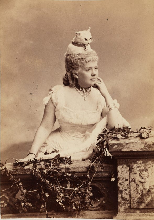 She really loved cats - Gilded Age Fashion