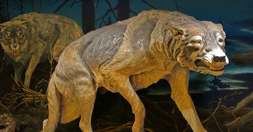 John Hawks | Substack