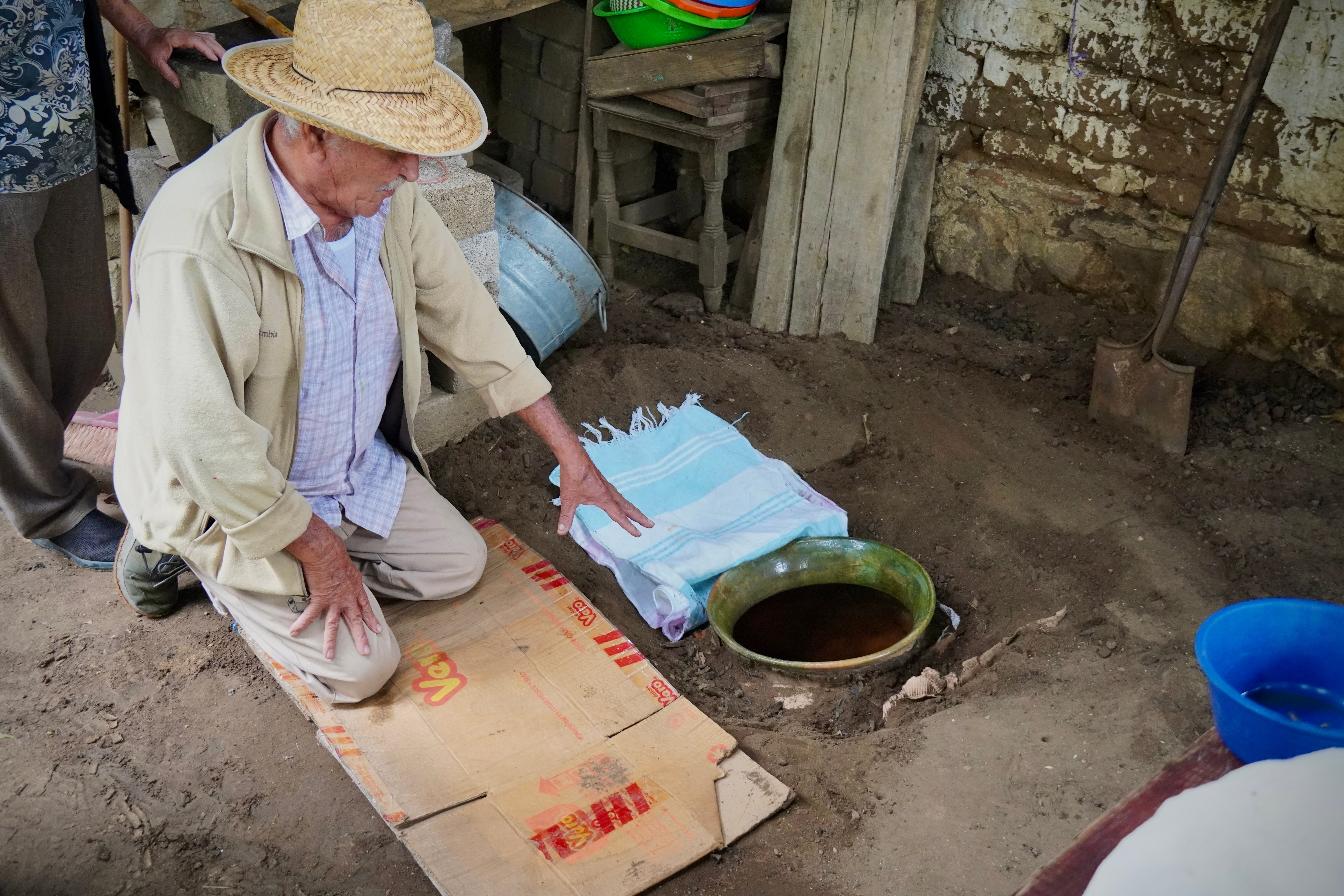 Tepache: a mixed-fermentation alcohol beverage from Mexico.