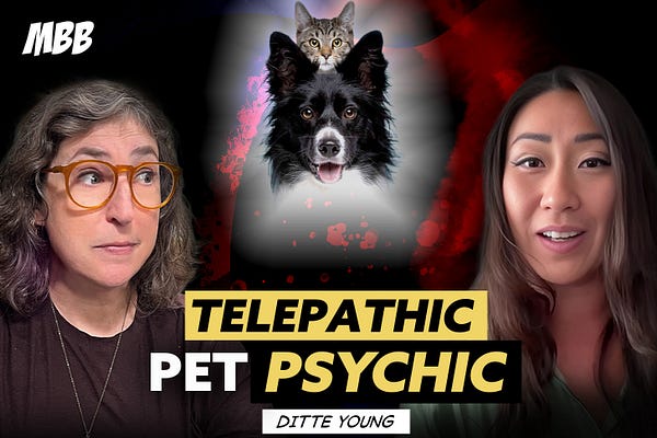 Mayim Bialik's Breakdown | Substack