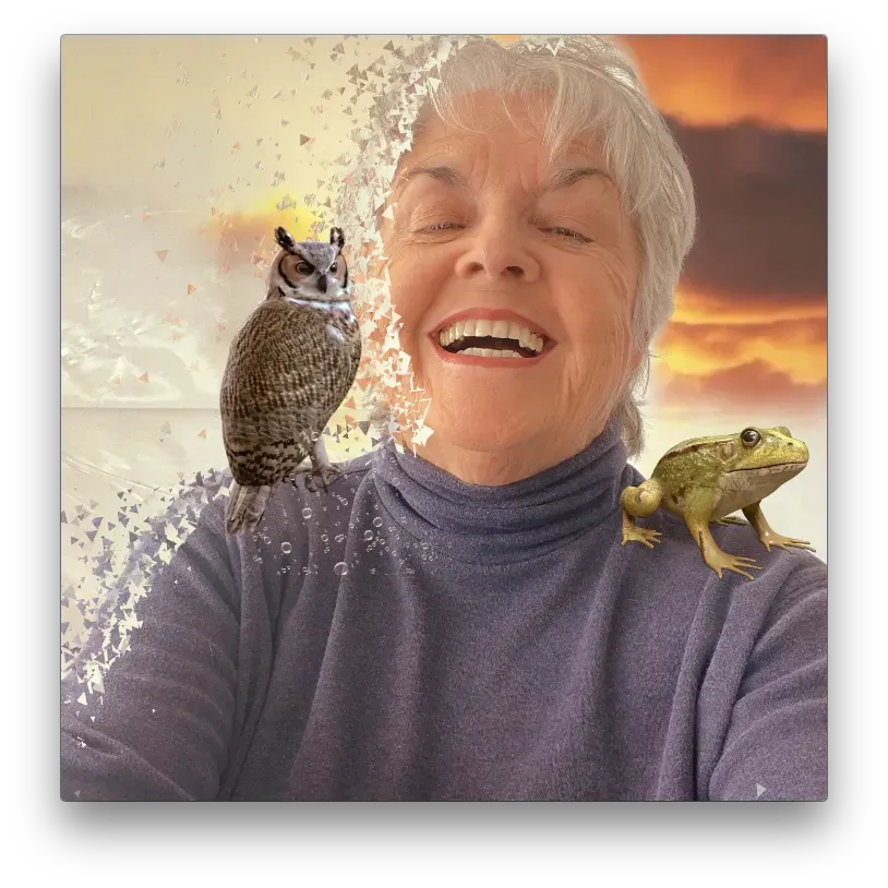 Patricia Ross | Substack