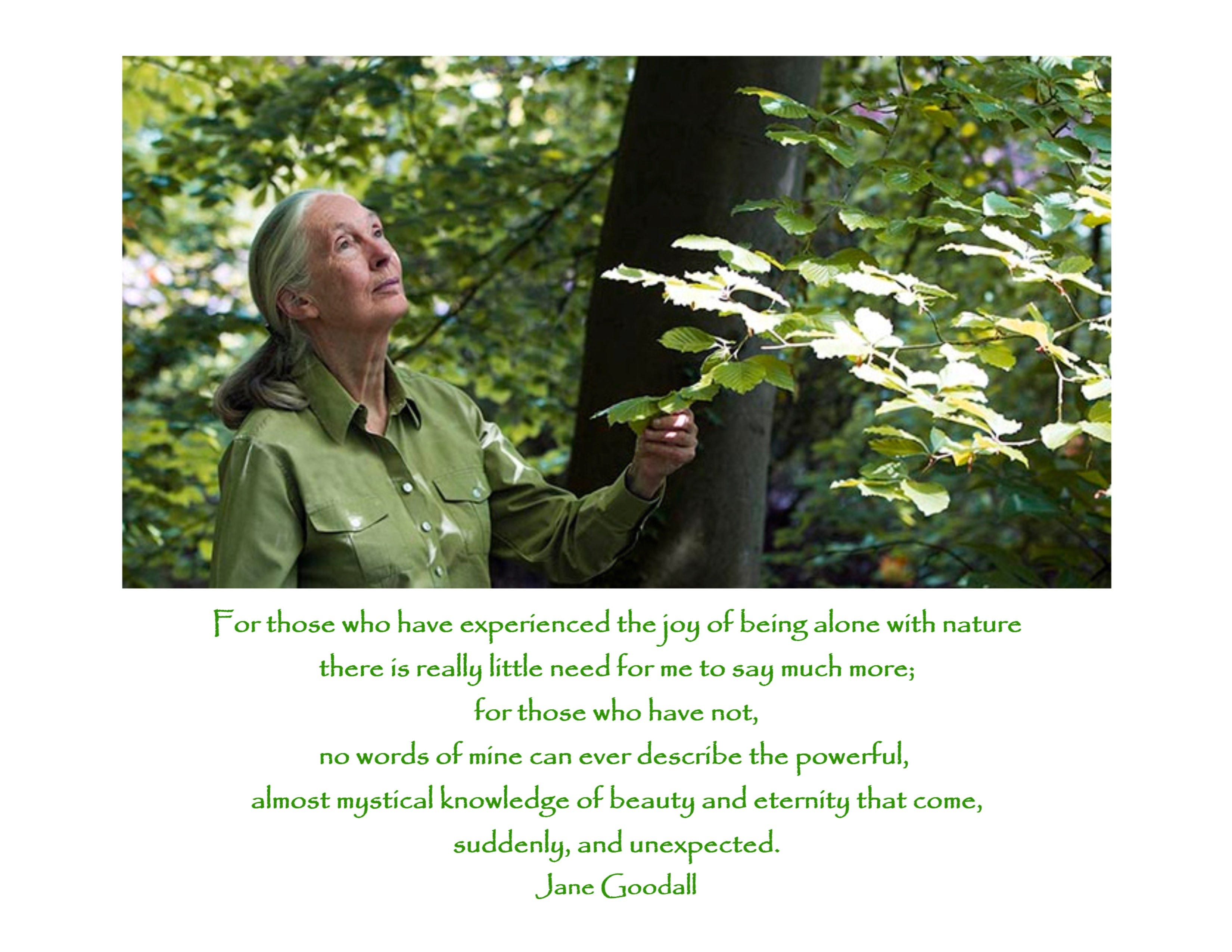 Honoring the life of Jane Goodall (April 3, 1934 - October 1, 2025)