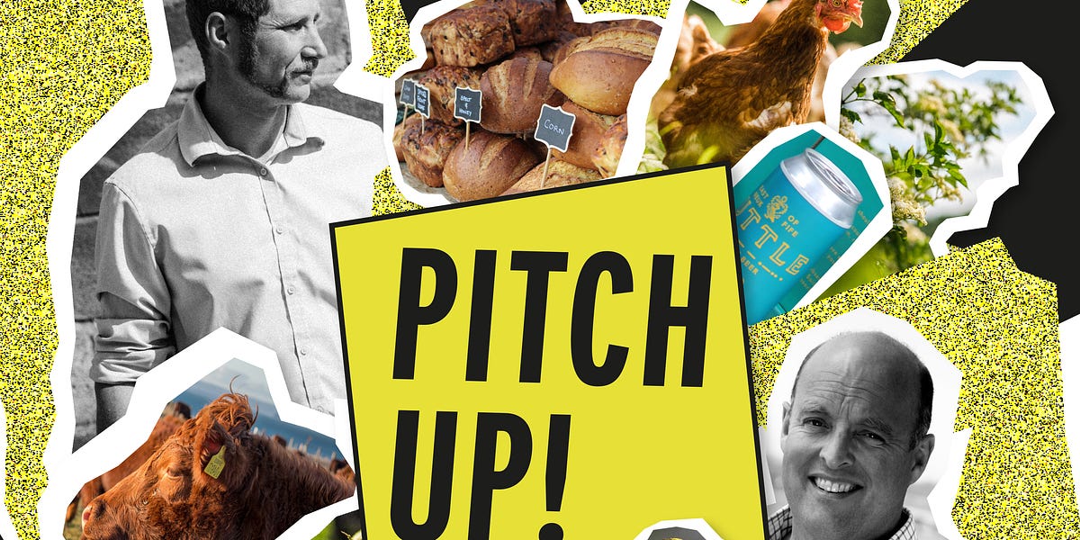 LISTEN: Pitch Up! conversation 🎧 - Pitch Up!