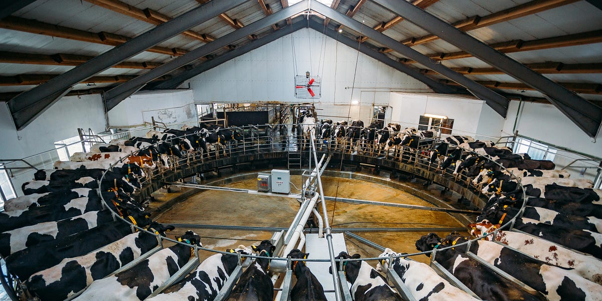 The Dark Side of Dairy: Uncovering the Ethical and Environmental Impact
