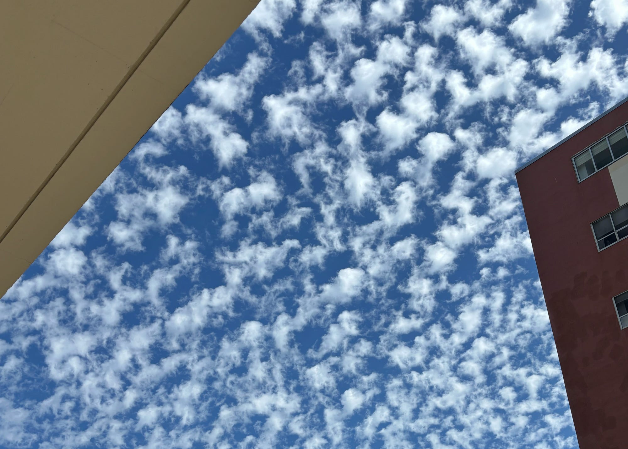 An Inverted Pyramid - by Amy Cowen - Illustrated Life